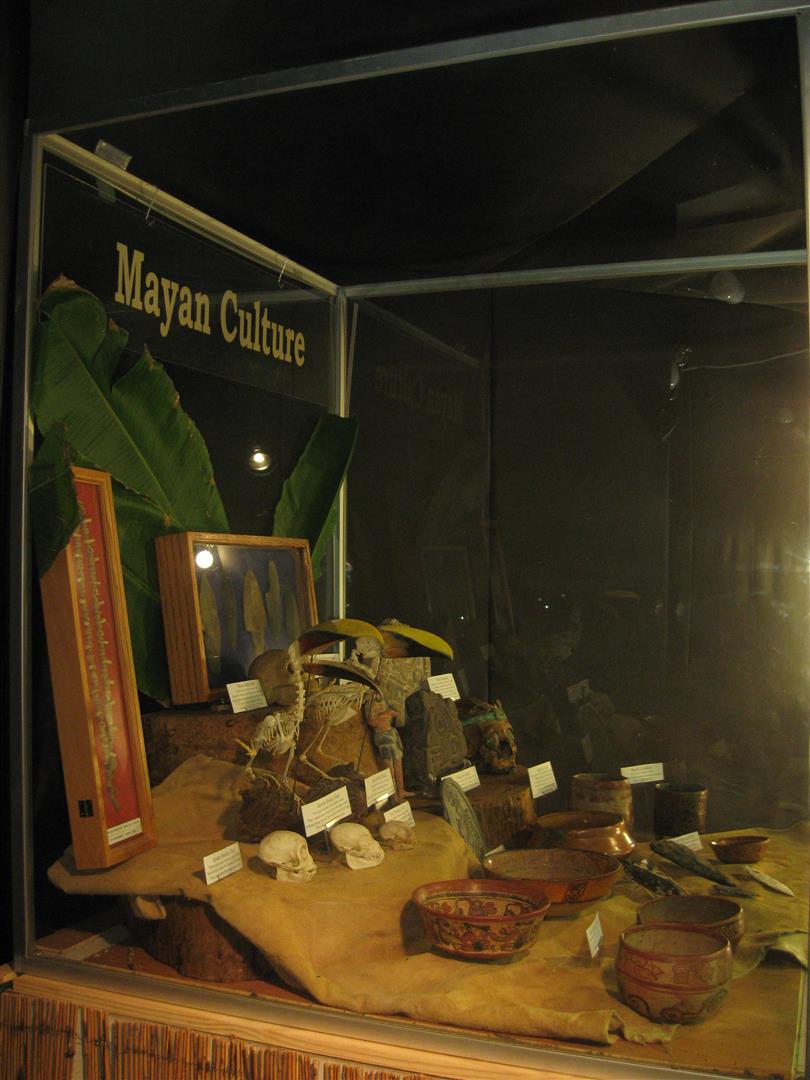 Mayan Culture Artifacts | Stones and Bones Traveling Museum