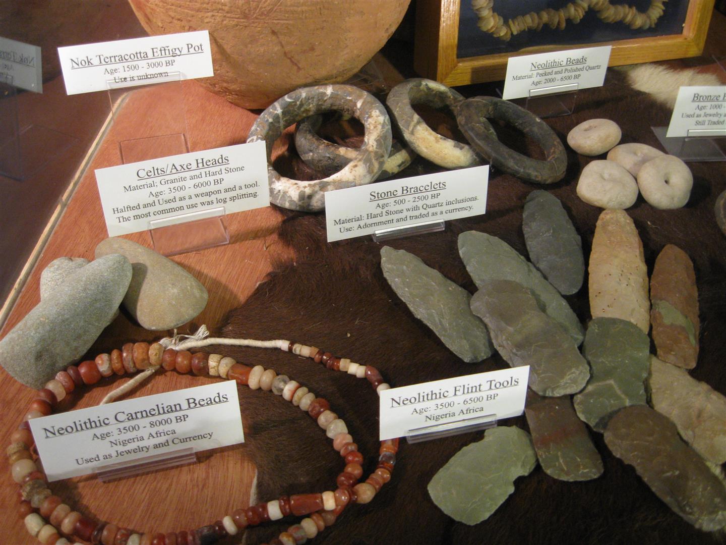 Ancient Africa | Stones and Bones Traveling Museum