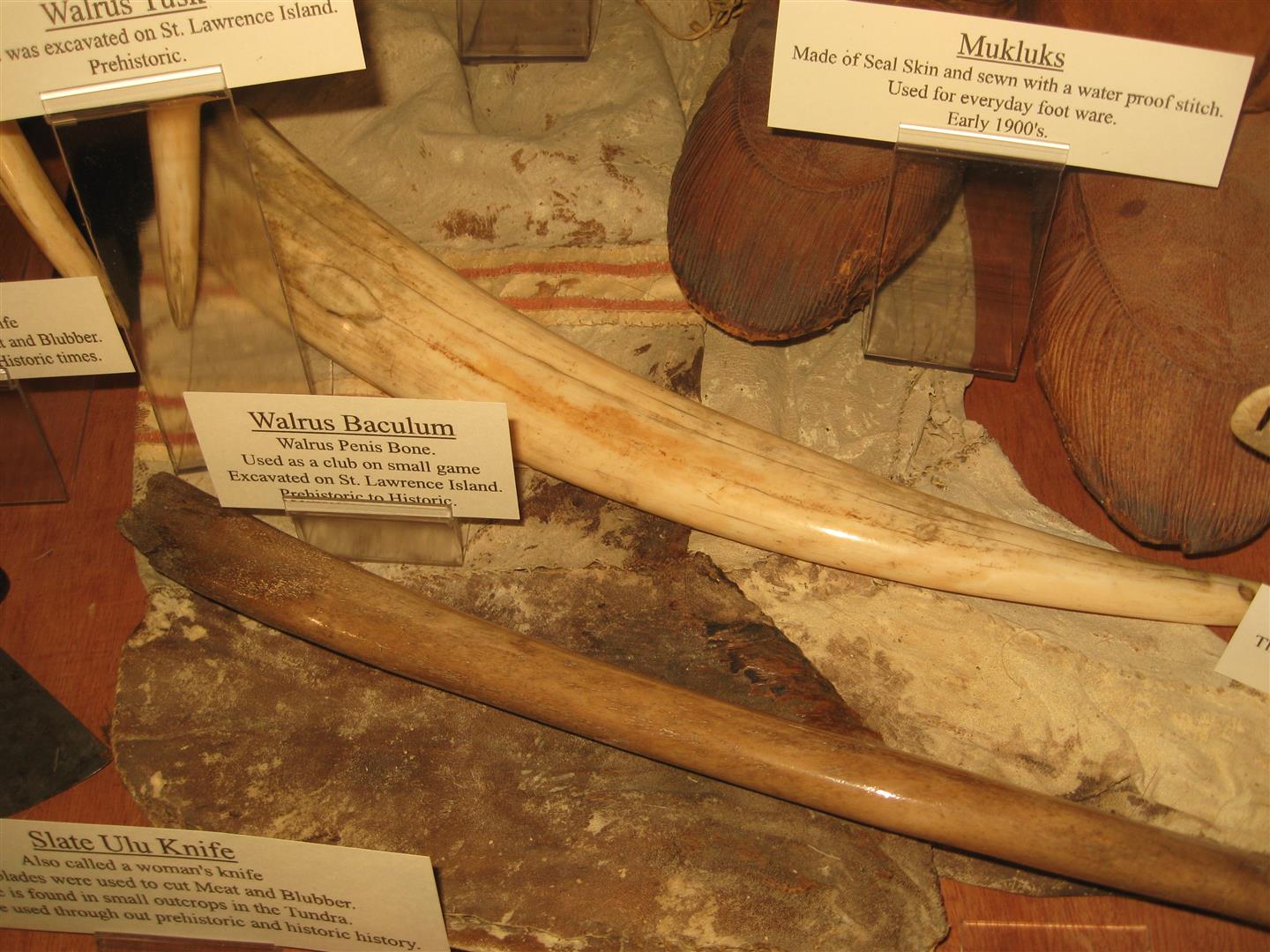 Eskimo Artifacts | Stones and Bones Traveling Museum