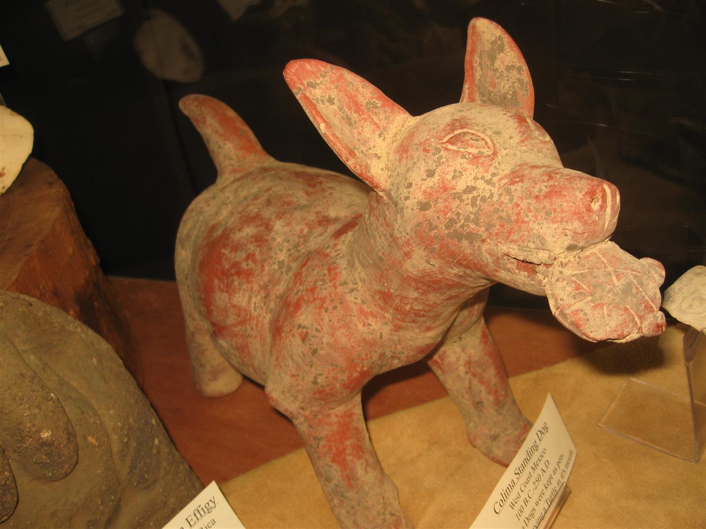 Pre Columbian Mexico | Stones and Bones Traveling Museum