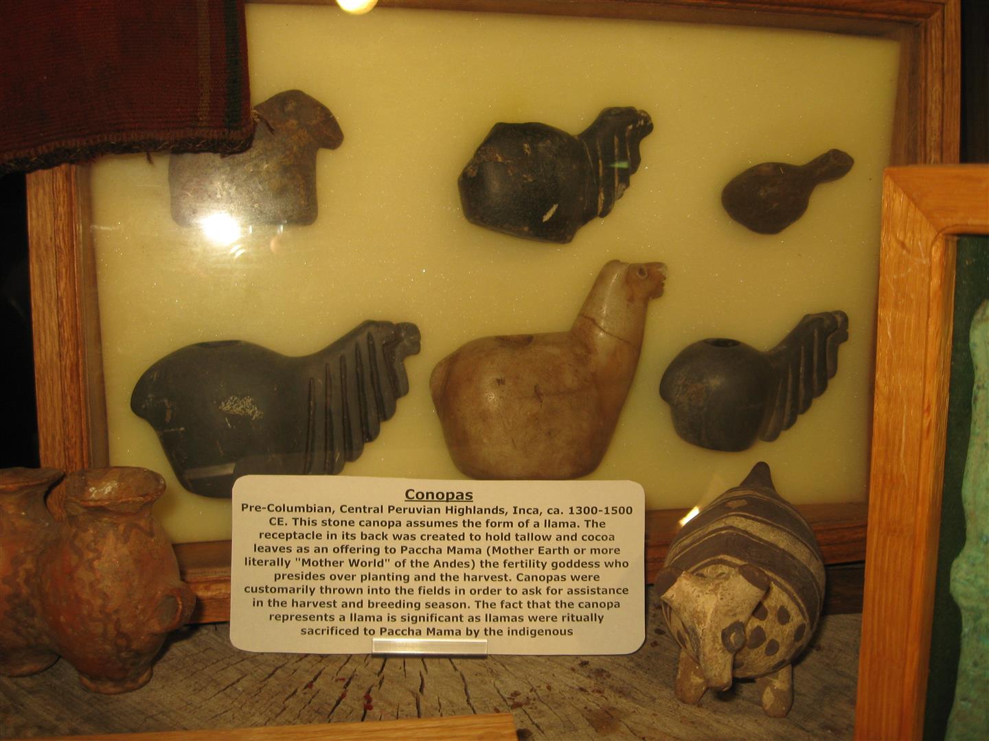 Prehistoric Peru | Stones and Bones Traveling Museum