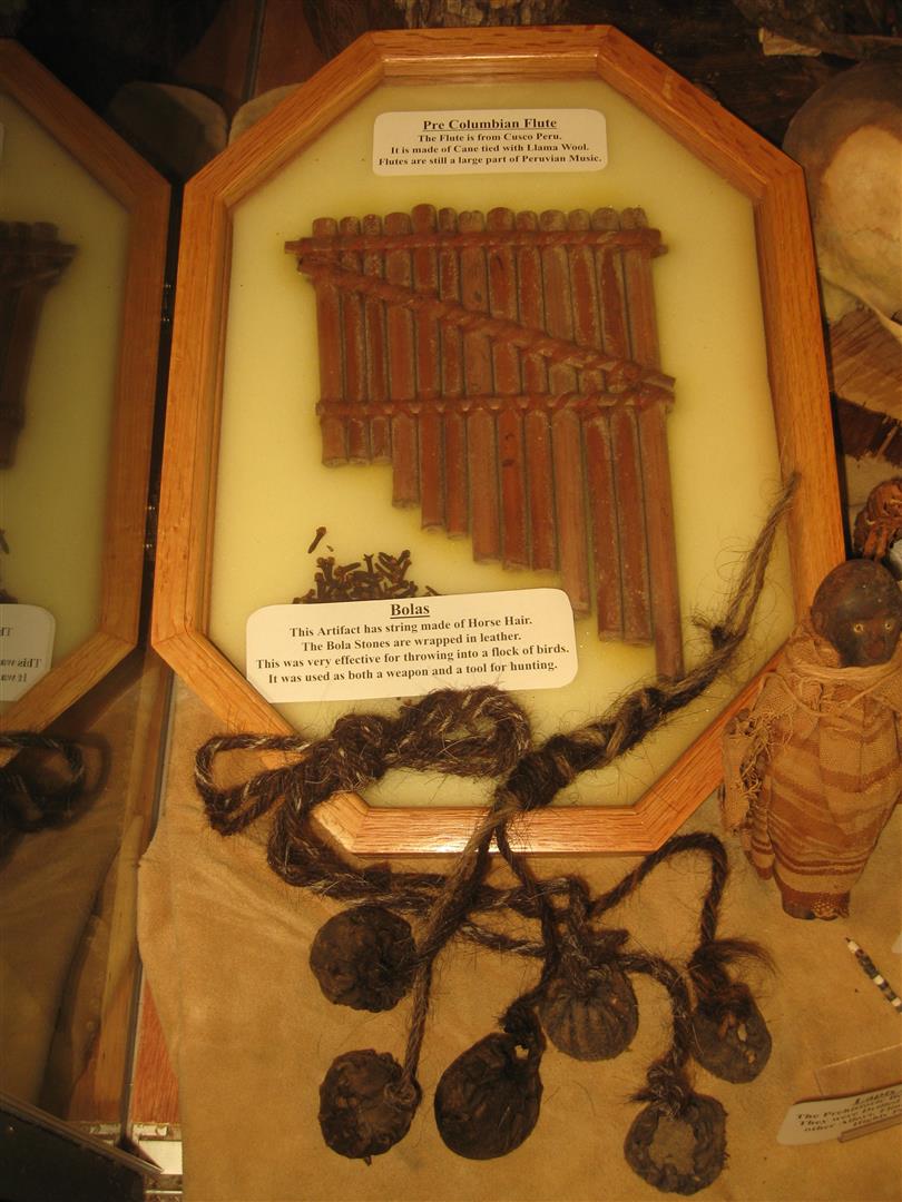 Prehistoric Peru | Stones and Bones Traveling Museum