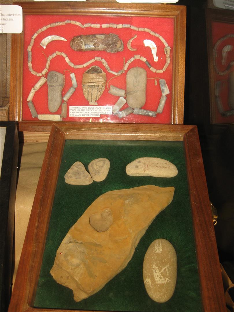 Prehistoric West Texas | Stones and Bones Traveling Museum